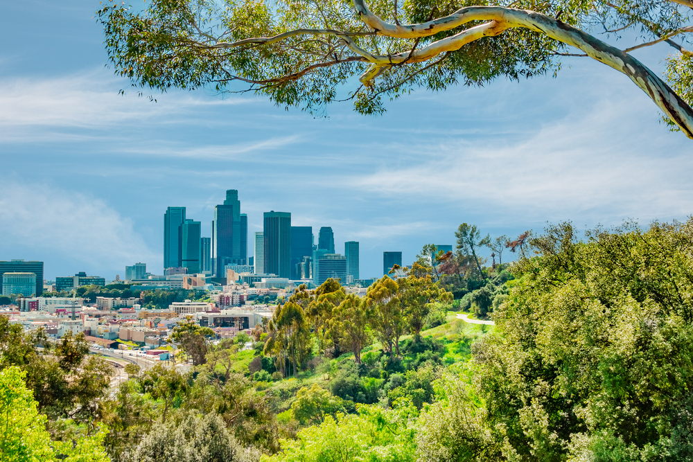 Clean LA Buildings Ordinance: What Commercial Property Managers Need to ...